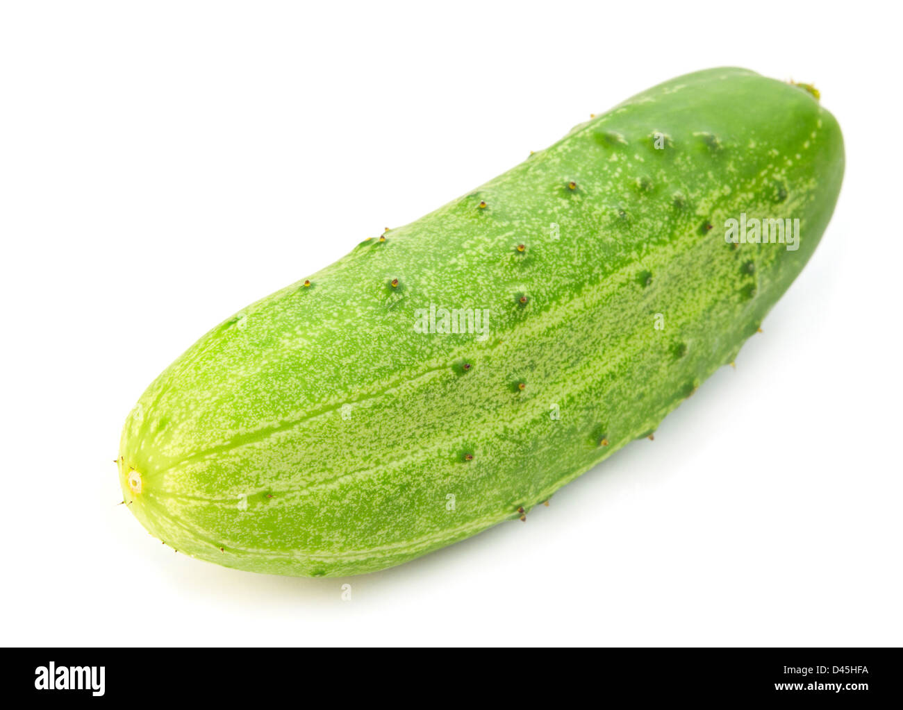 Fresh cucumber isolated on white background Stock Photo - Alamy