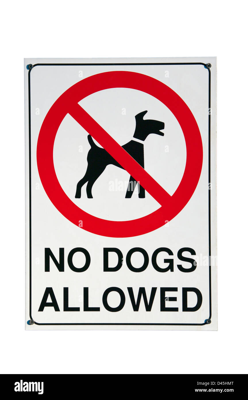 No dogs allowed signs hi-res stock photography and images - Alamy
