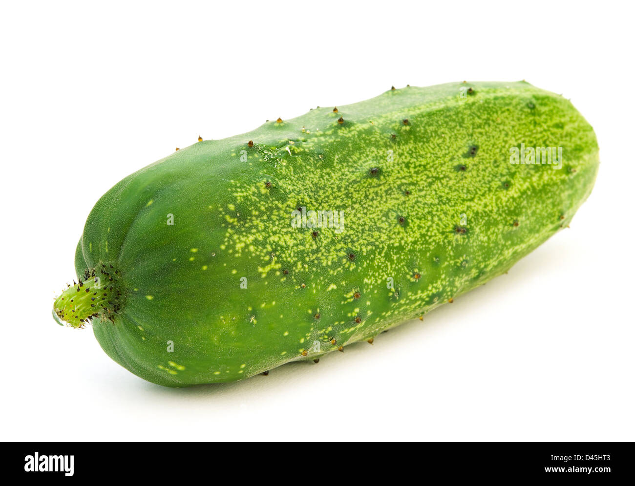 Fresh cucumber isolated on white background Stock Photo - Alamy