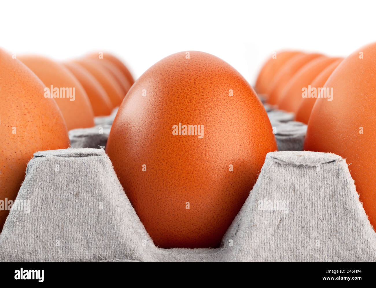 Chicken egg in carton box Stock Photo - Alamy