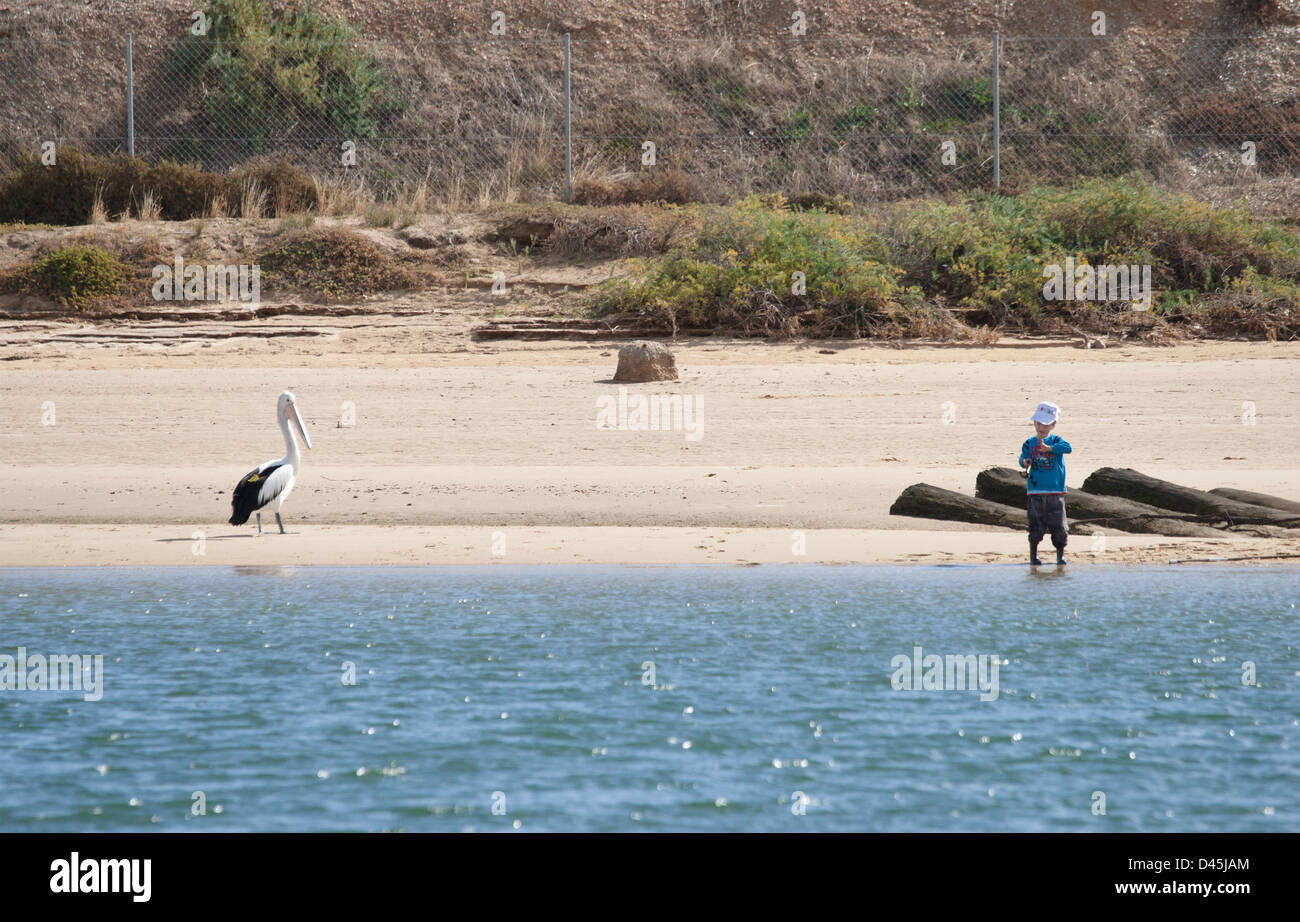young boy fishing port river adelaide river Stock Photo - Alamy