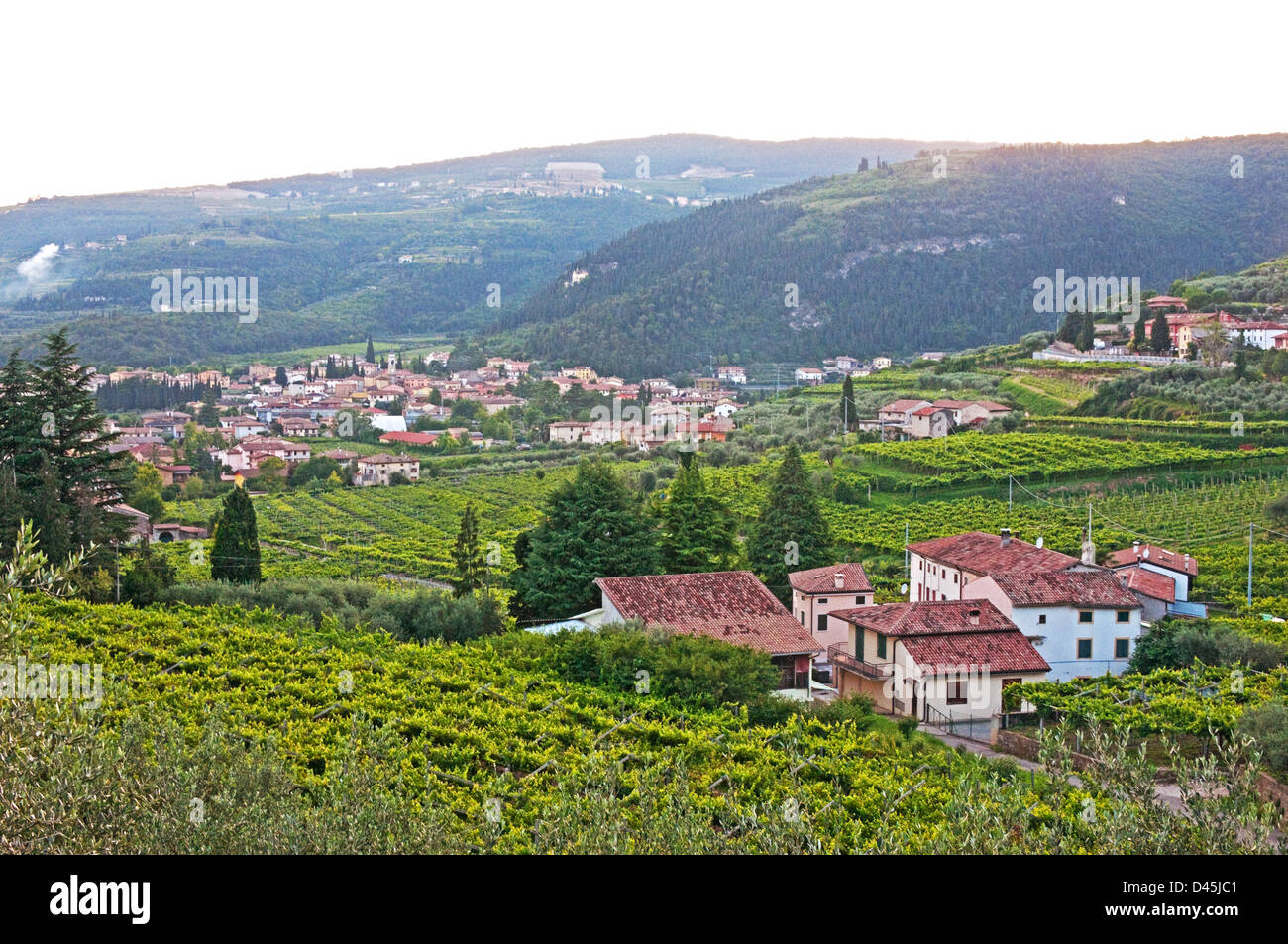 Valley of Fumane, Italy, Valpolicella wine region, early evening Stock Photo - Alamy