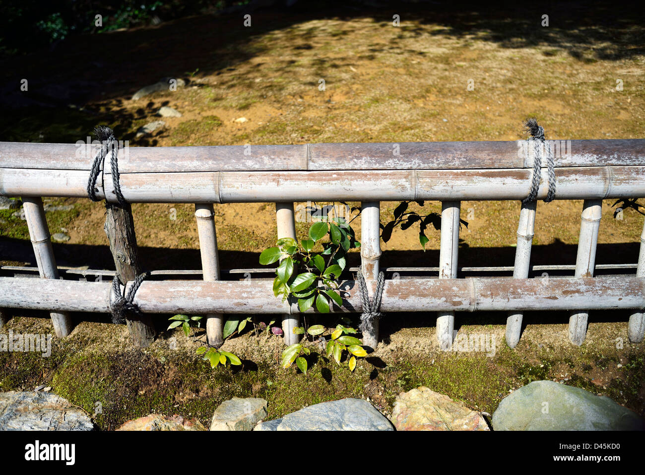 Bamboo fence in a Japanese garden Stock Photo - Alamy
