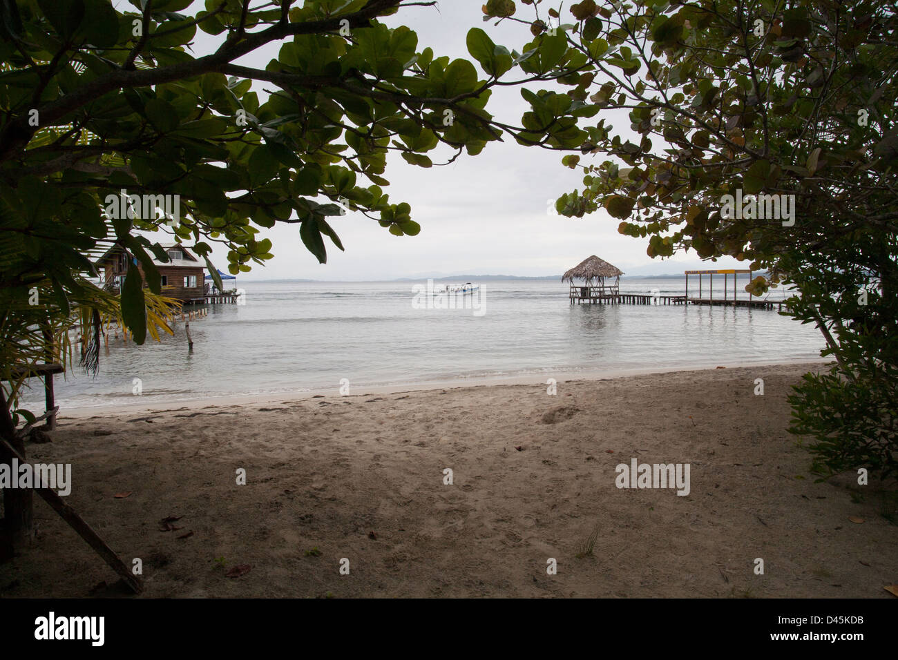 Sandy beach at Carenero Island, Bocas del Toro, Panama Stock Photo - Alamy