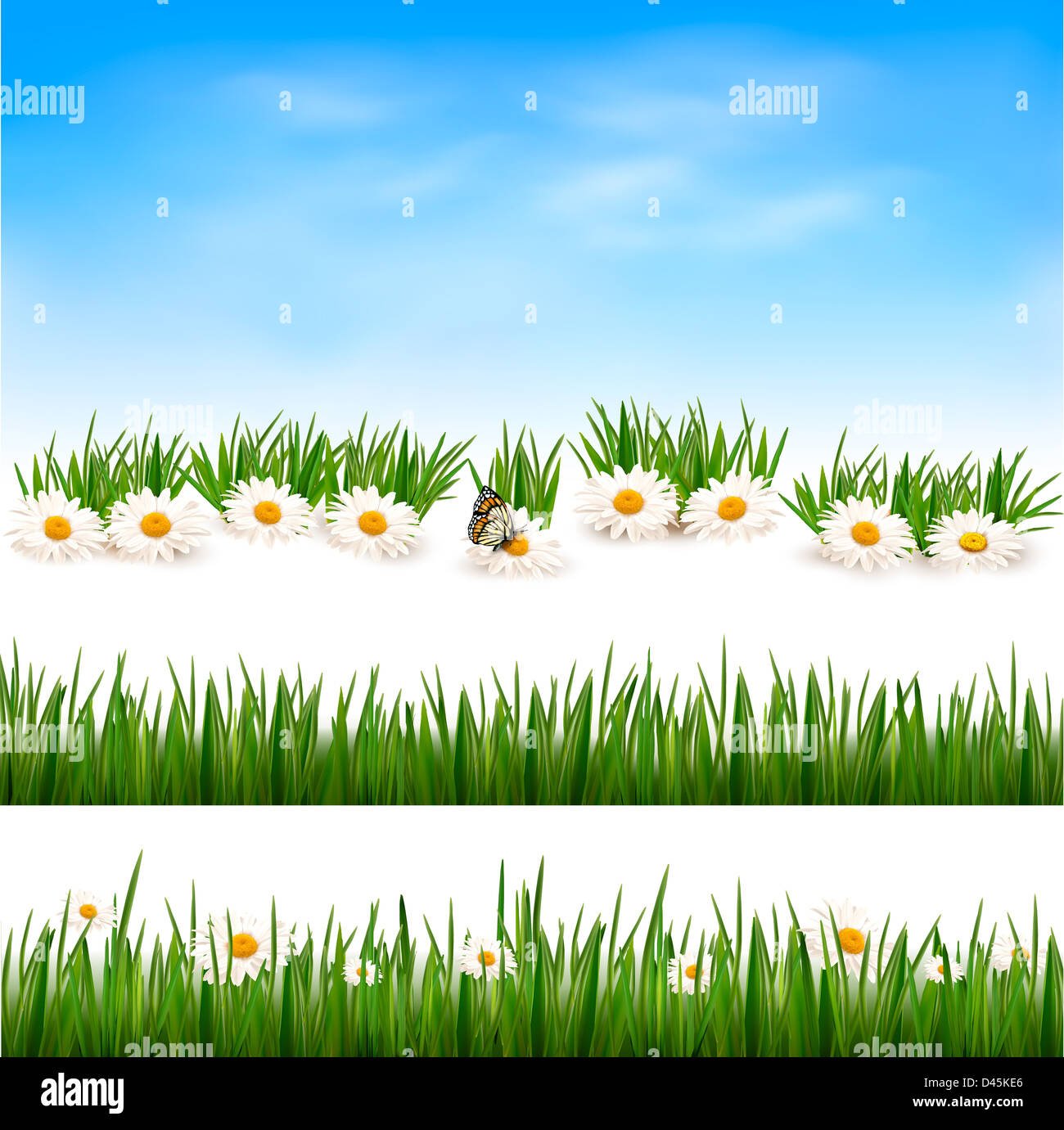 Collection of green grass backgrounds. Vector illustration Stock Photo ...