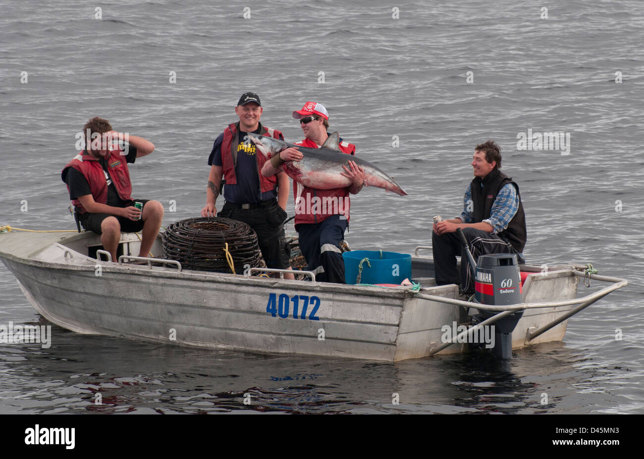 Sports fishermen show off their catch of gummy shark on Macquarie ...