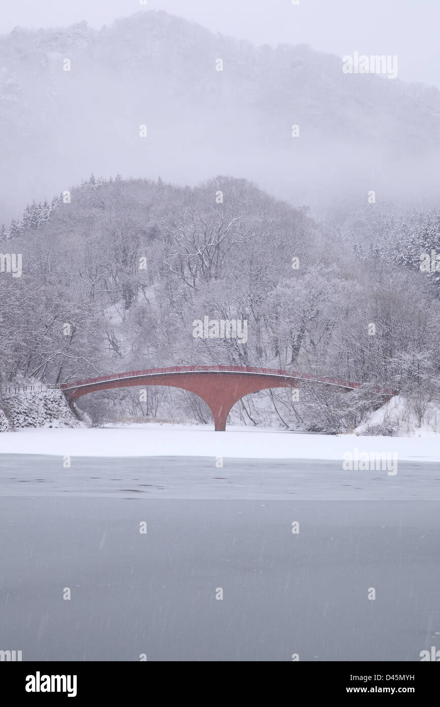 Frozen Lake Usui and bridge in winter, Gunma, Japan Stock Photo - Alamy