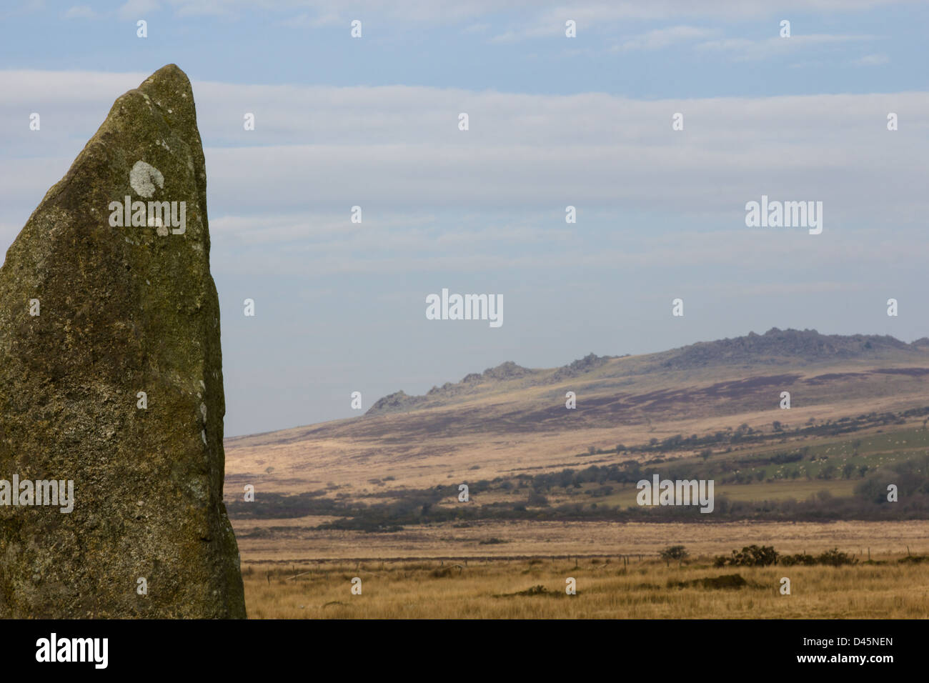 Preseli bluestone hi-res stock photography and images - Alamy