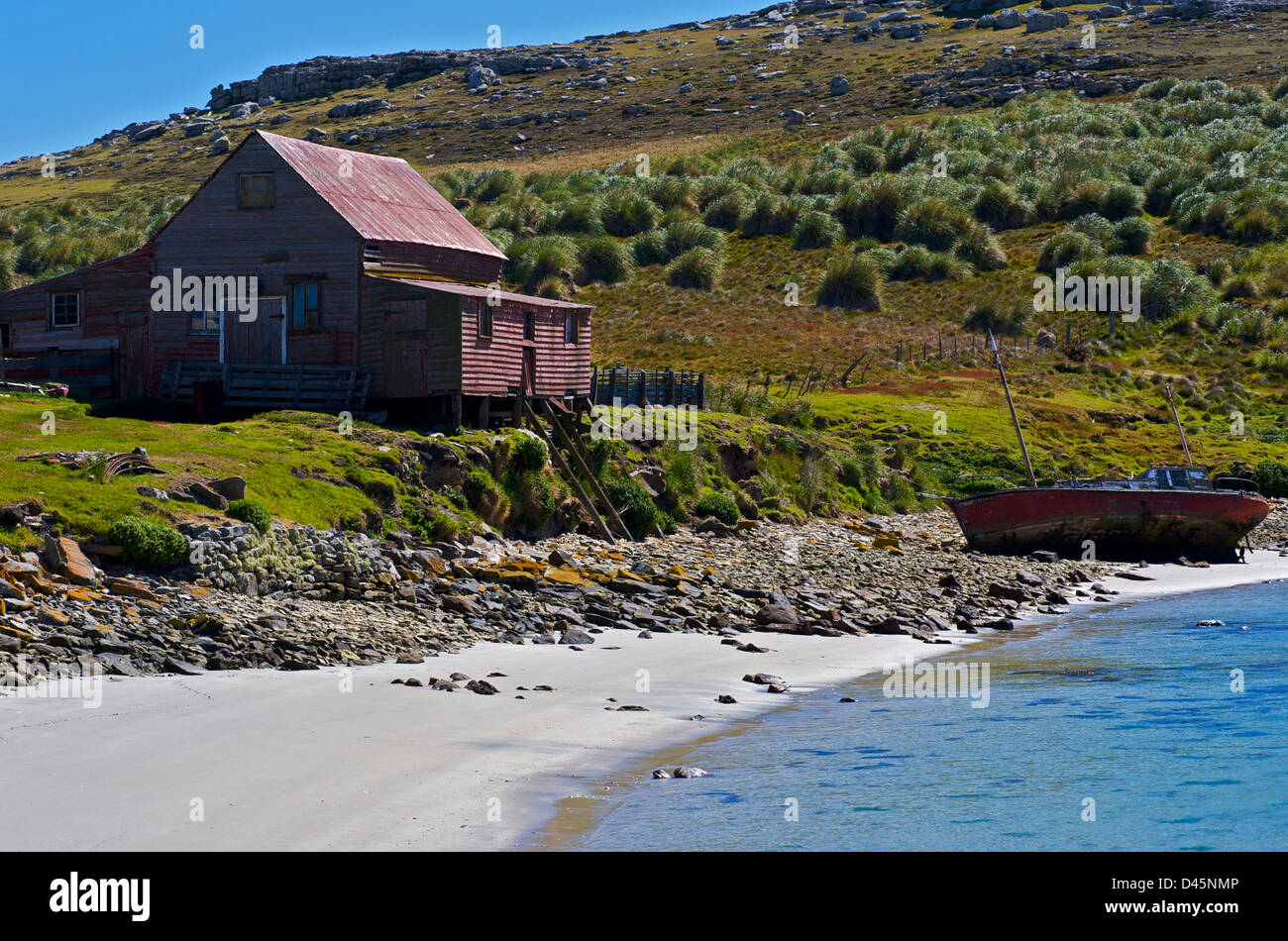 A pretty cove on West Point Island in West Falkland Stock Photo - Alamy