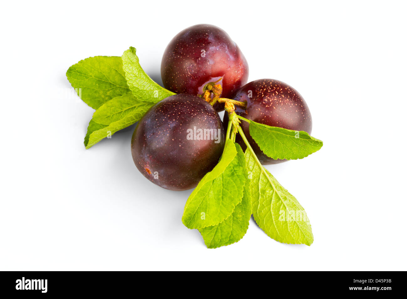 ripe plum isolated on a white background Stock Photo - Alamy