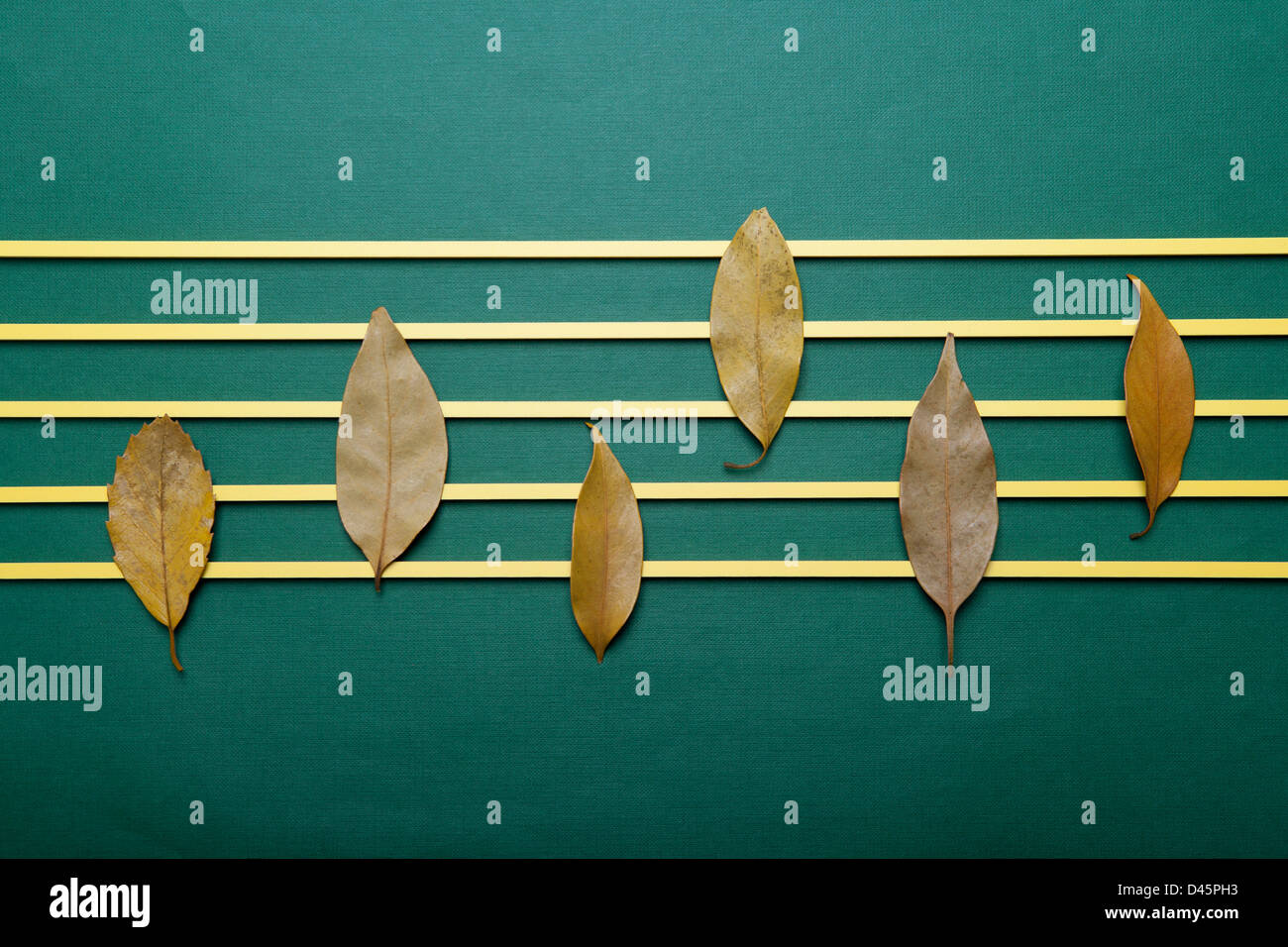 leaves on musical staff Stock Photo - Alamy