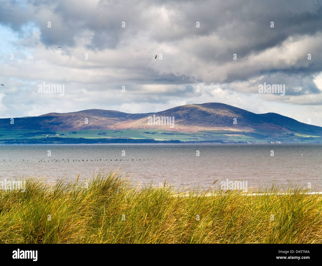 Cumbrian coast, Solway, Cumbria Stock Photo - Alamy