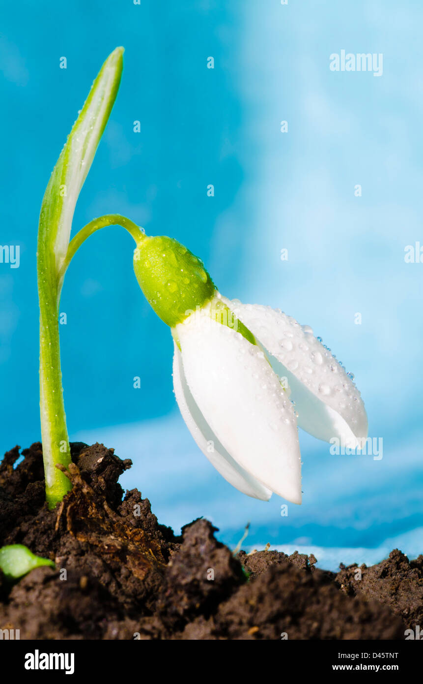 Going in soil hi-res stock photography and images - Alamy
