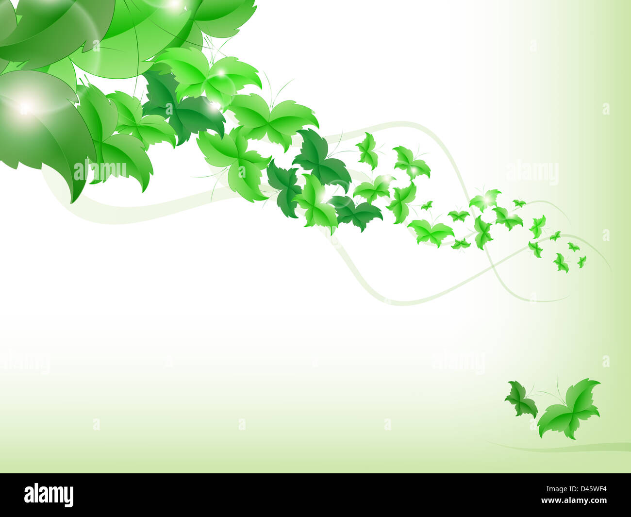 Light Green Leaf Abstract Background