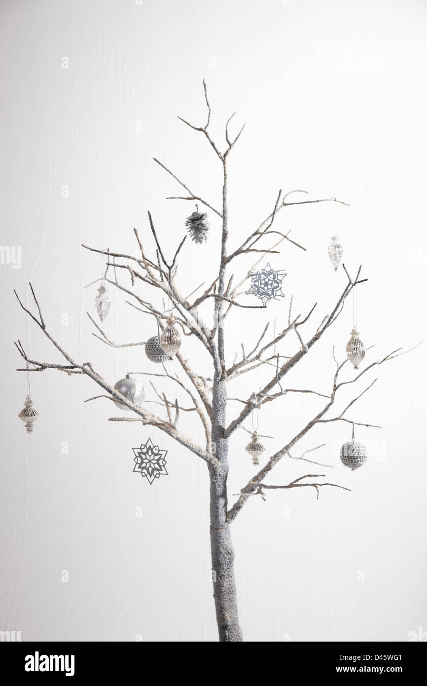 Tree winter cut out hi-res stock photography and images - Alamy