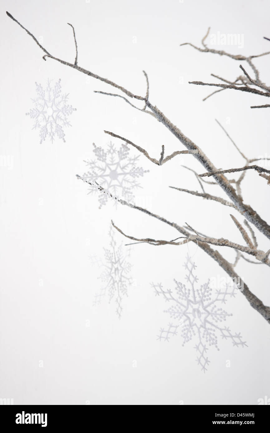 snow flakes decorated on winter tree Stock Photo - Alamy