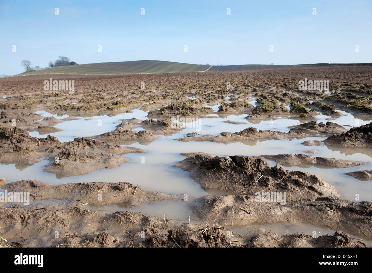 Ploughed land showing extreme waterlogging. Yorkshire, UK Stock Photo ...