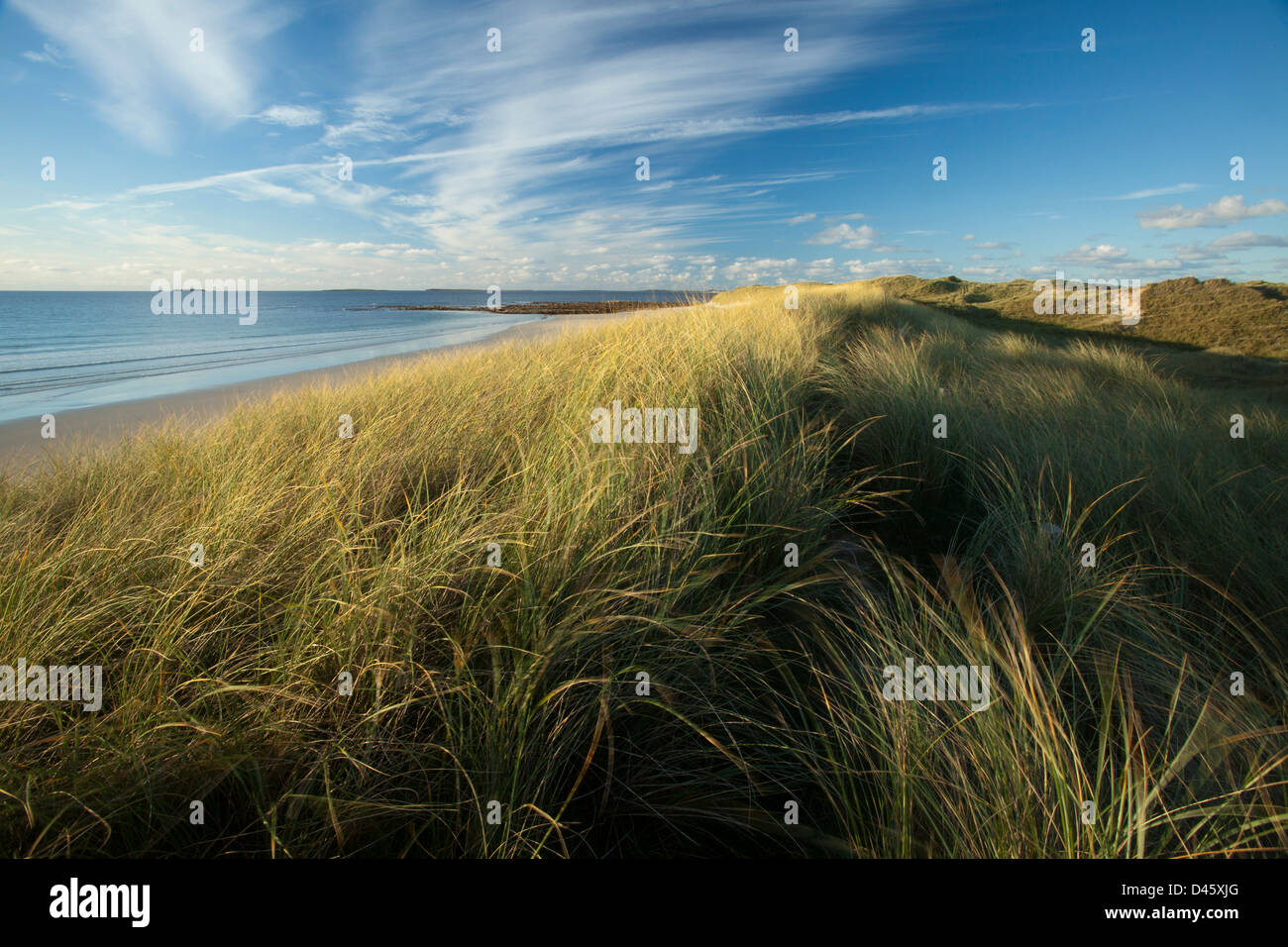 Elly bay beach hi-res stock photography and images - Alamy