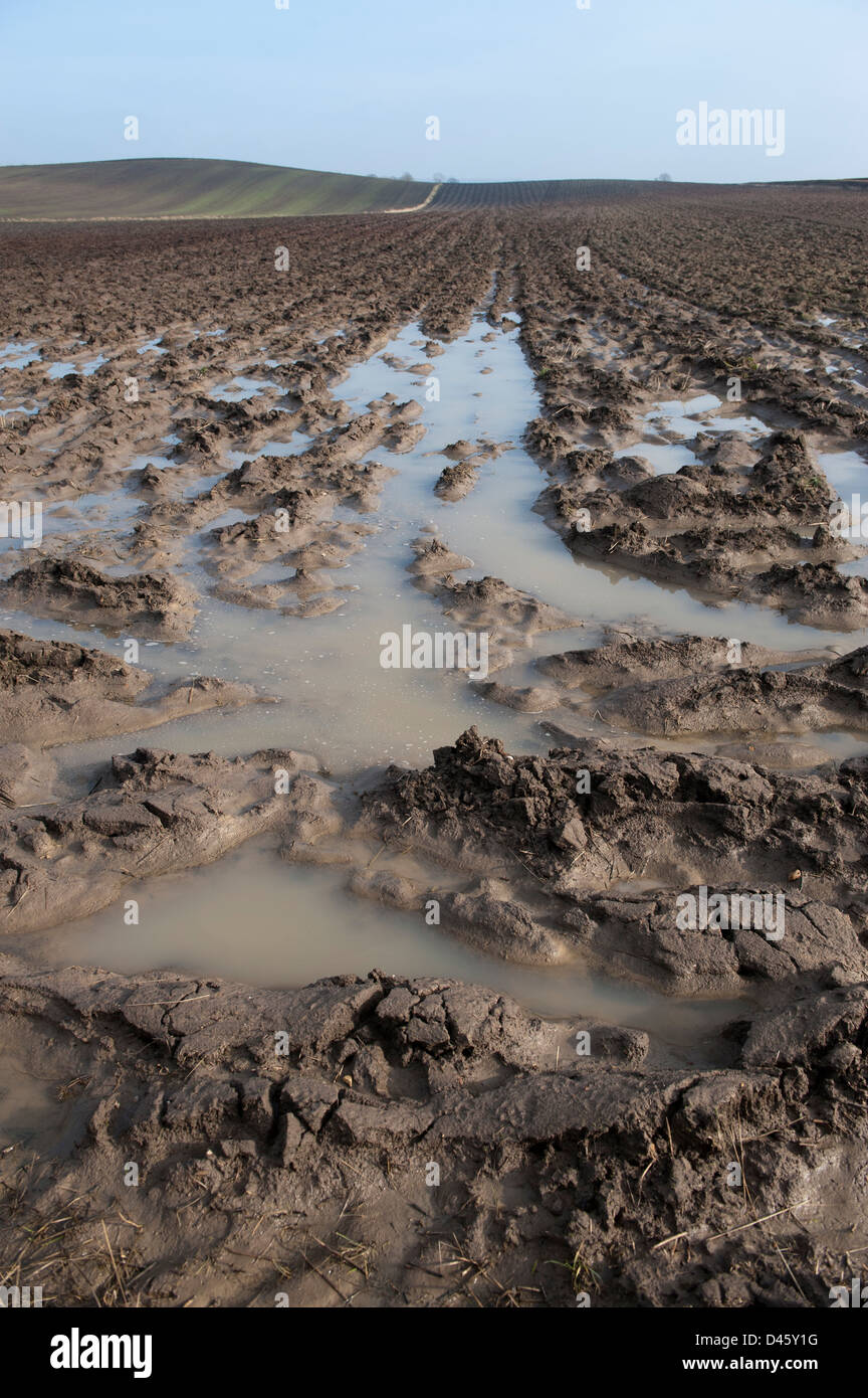 Ploughed land showing extreme waterlogging. Yorkshire, UK Stock Photo ...