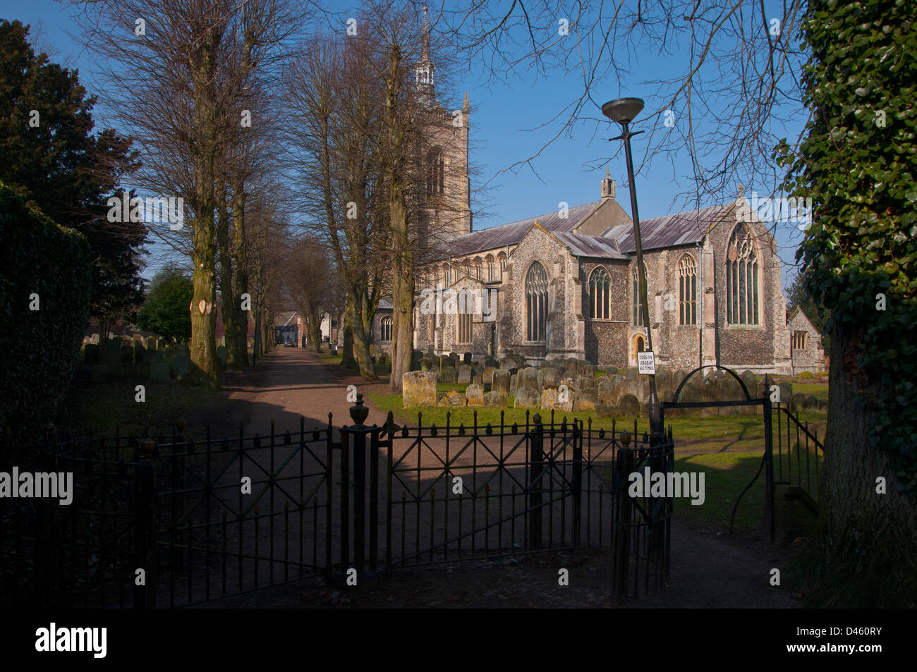 Swaffham Church Norfolk Stock Photo - Alamy