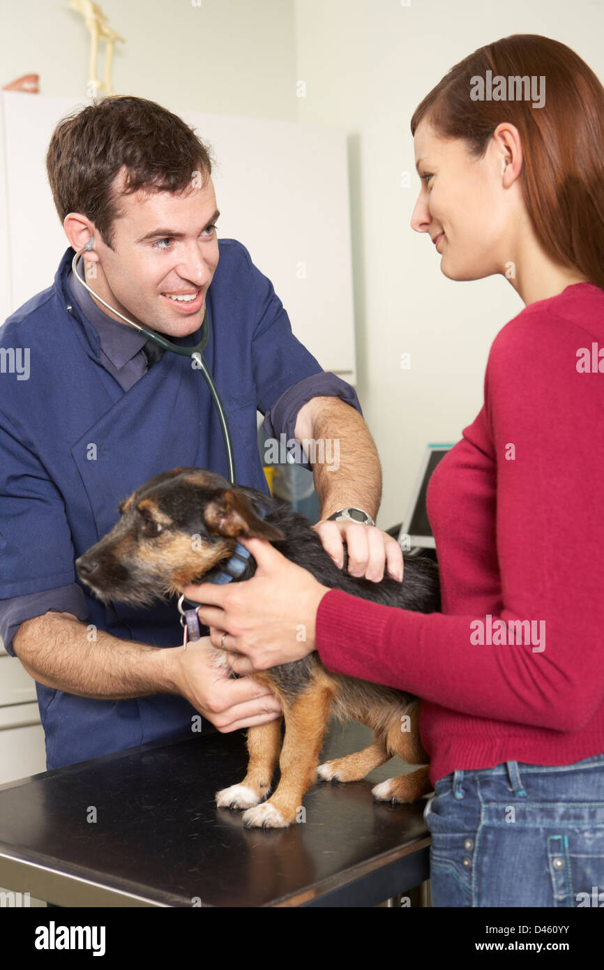 Veterinary surgeon hi-res stock photography and images - Alamy