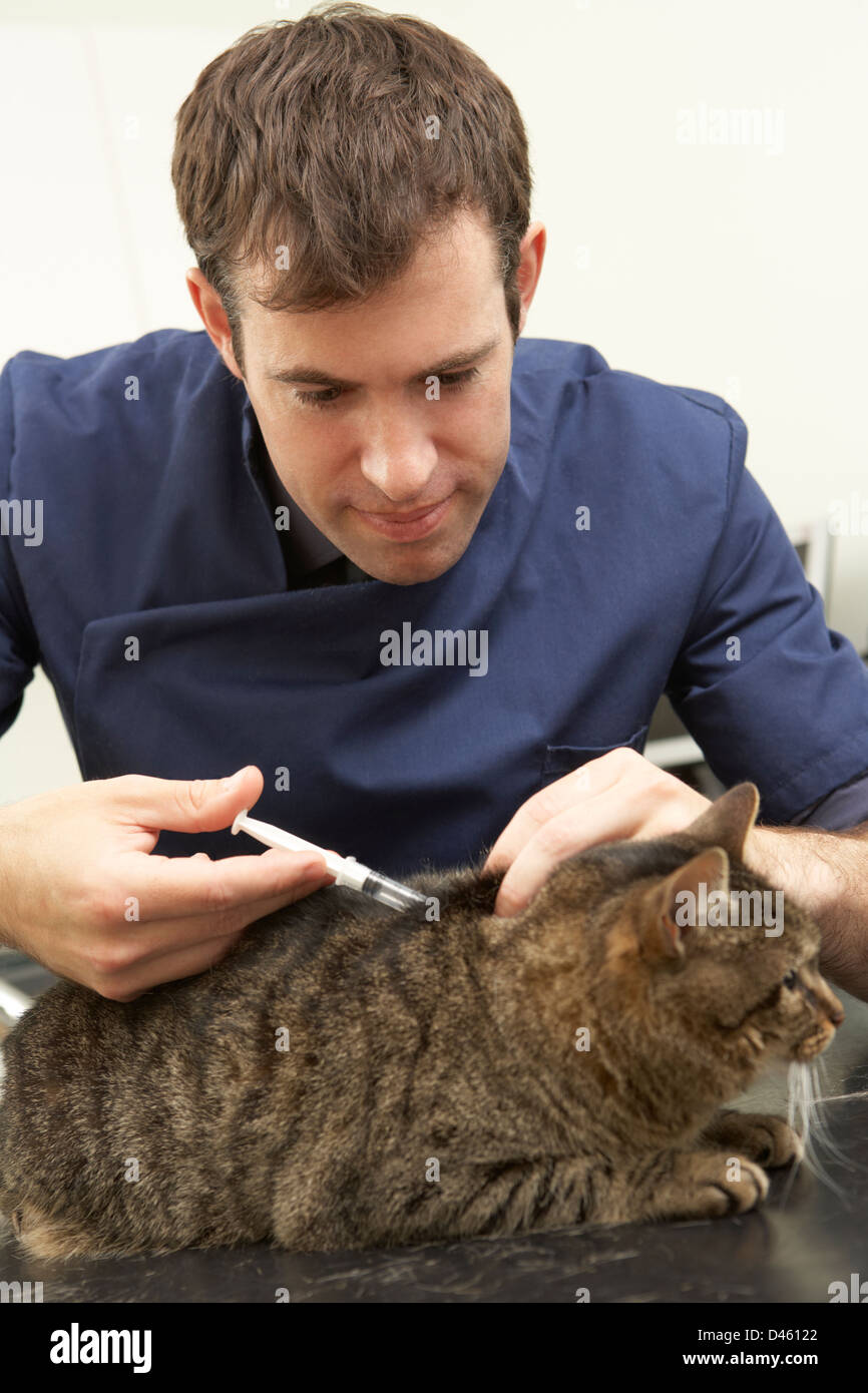 Veterinary hi-res stock photography and images - Alamy