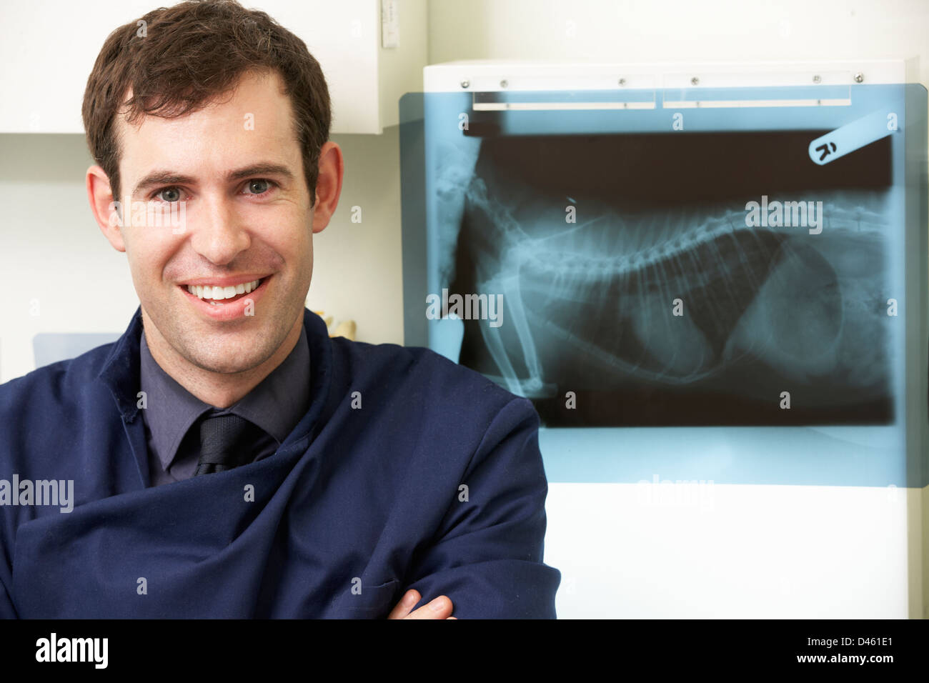 X ray veterinary hi-res stock photography and images - Alamy