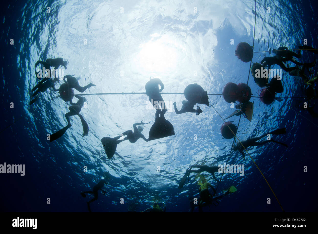 Diving platforms hi-res stock photography and images - Alamy