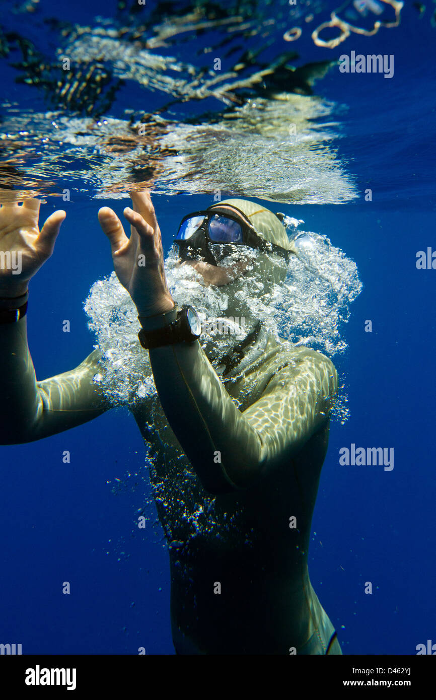 Freediving competition hi-res stock photography and images - Alamy