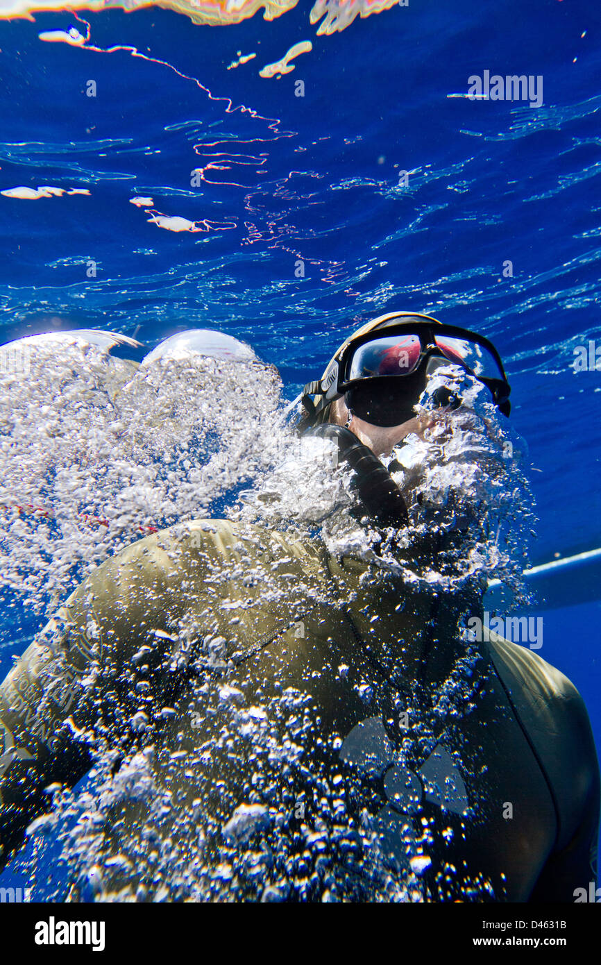Freediving competition hi-res stock photography and images - Alamy