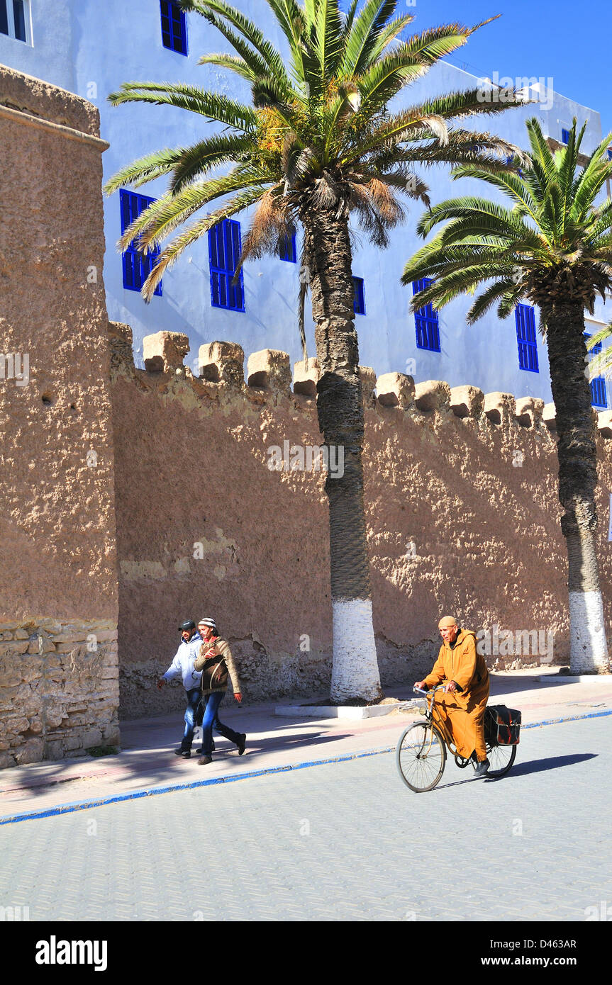 Life cycle of trees hi-res stock photography and images - Alamy