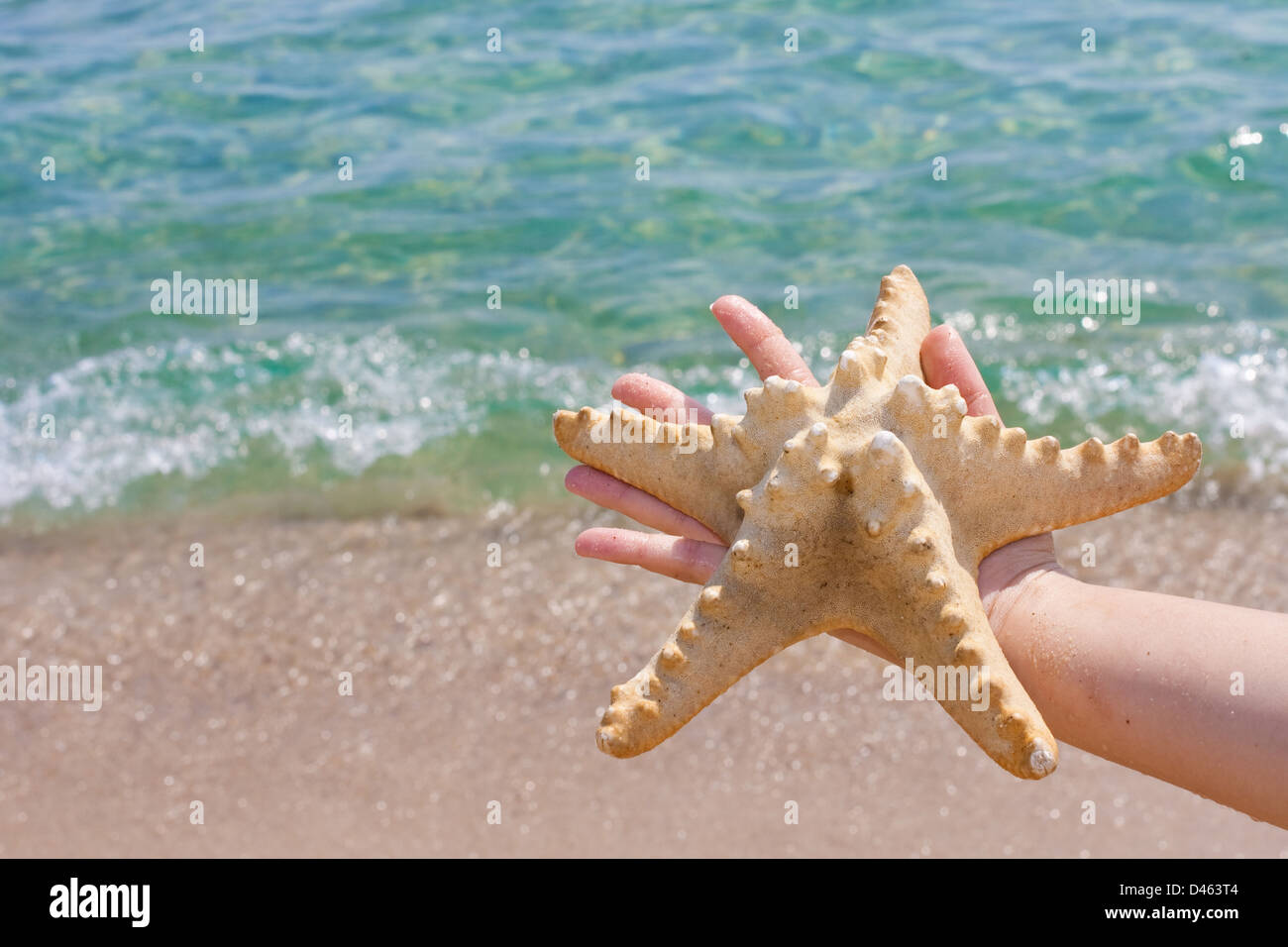 Hand holding starfish and sea wave in background Stock Photo - Alamy