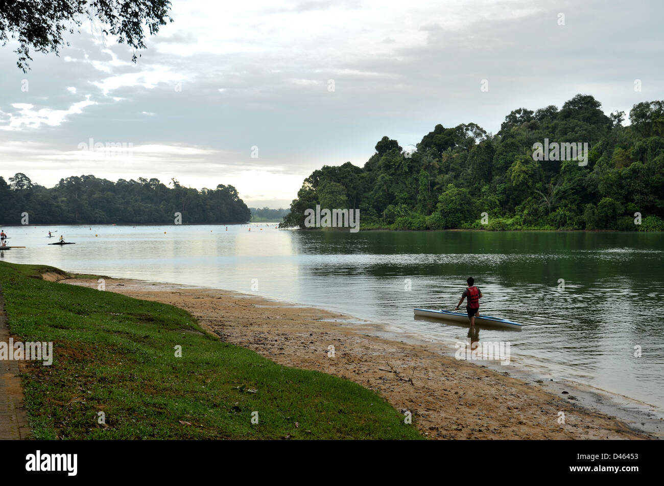 Macritchie Reservoir Park High Resolution Stock Photography and Images ...