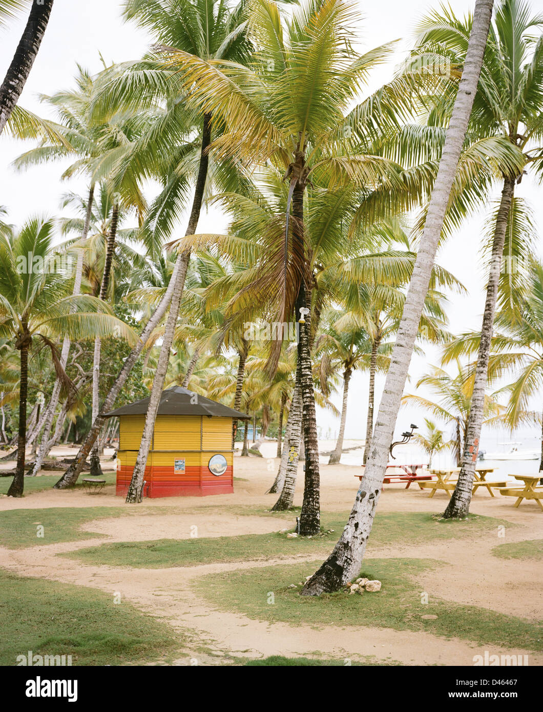 An empty beach with paths and palm trees Stock Photo - Alamy