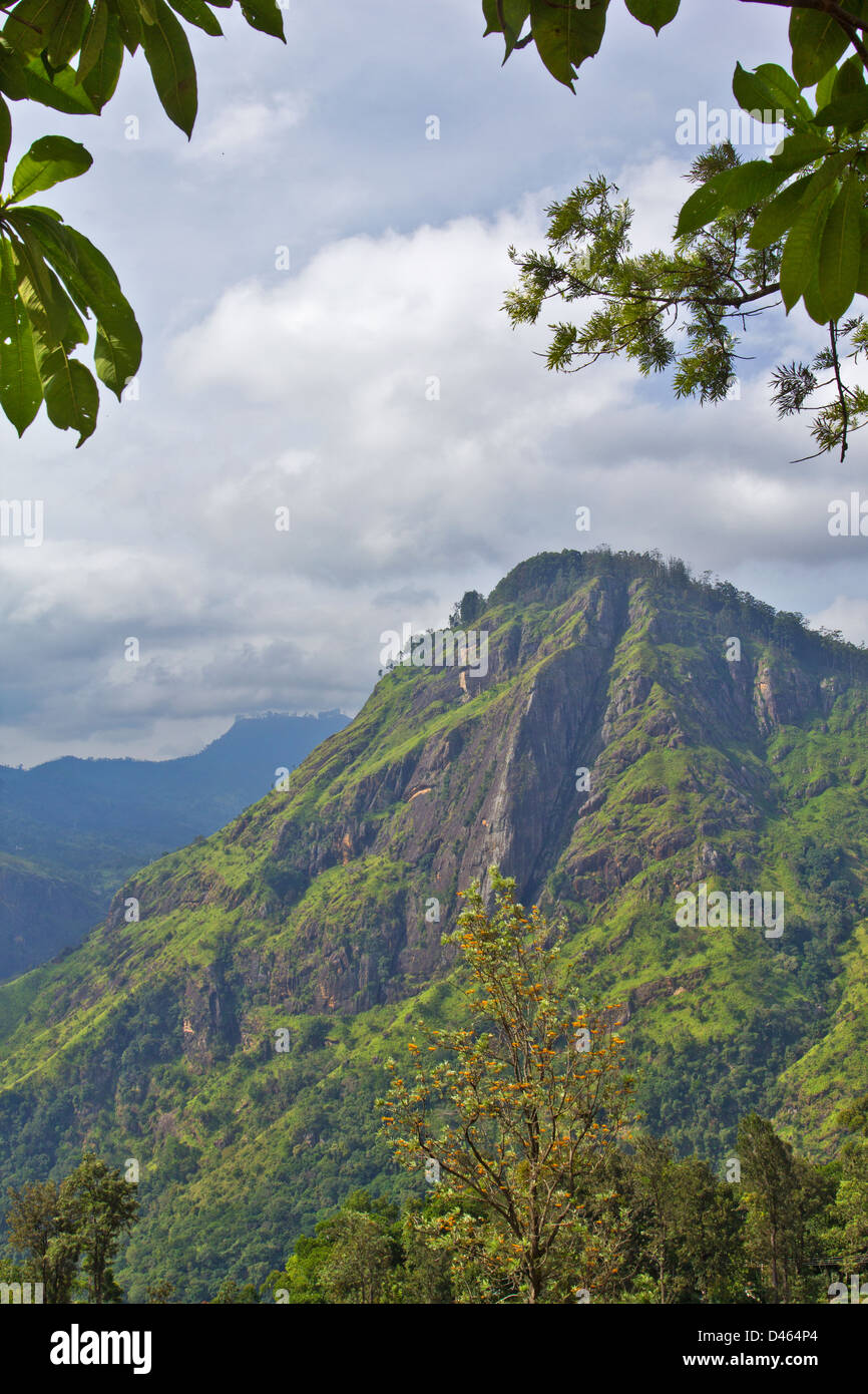 Ella rock mountain hi-res stock photography and images - Alamy
