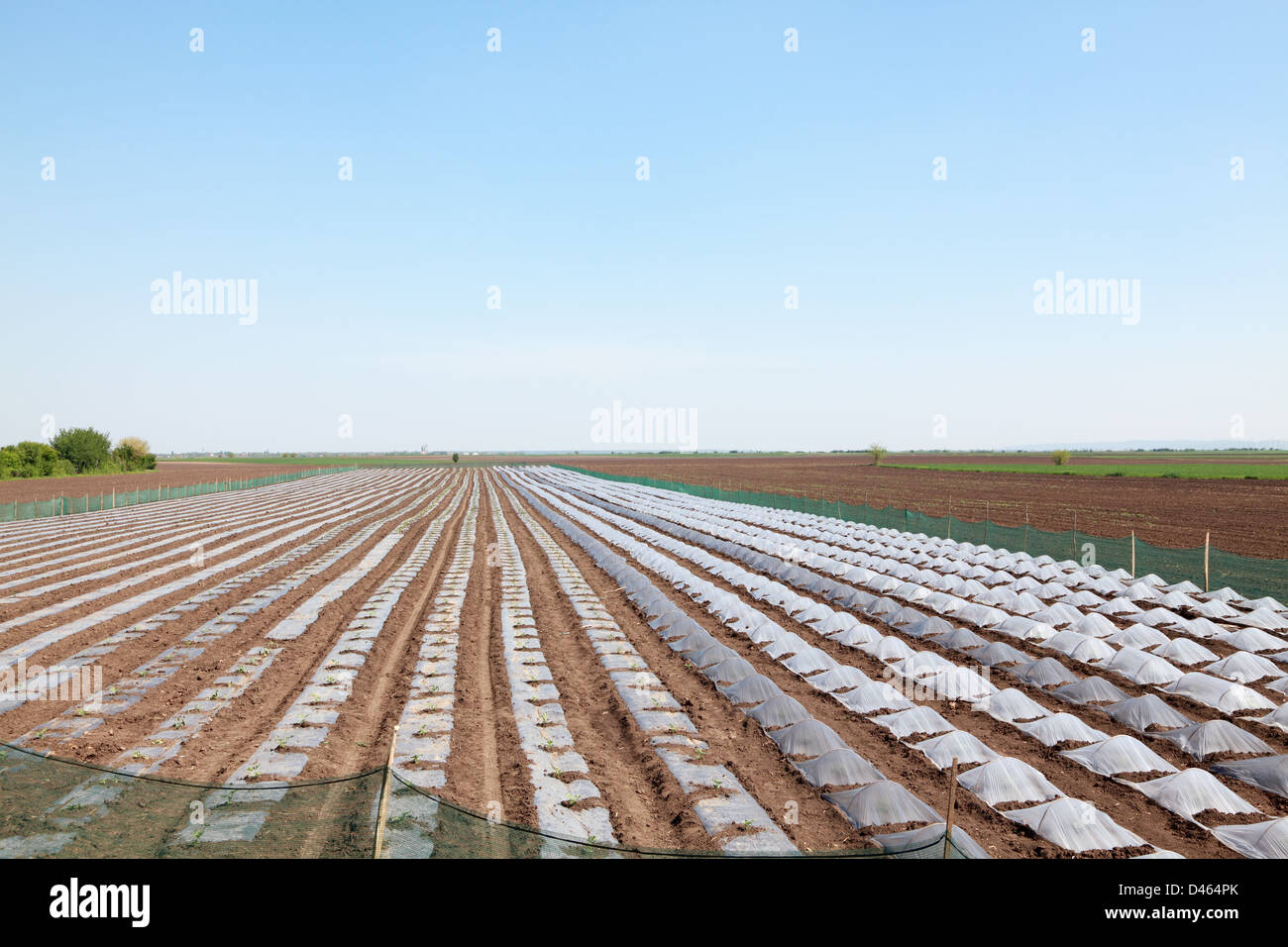 Ground strips hi-res stock photography and images - Alamy