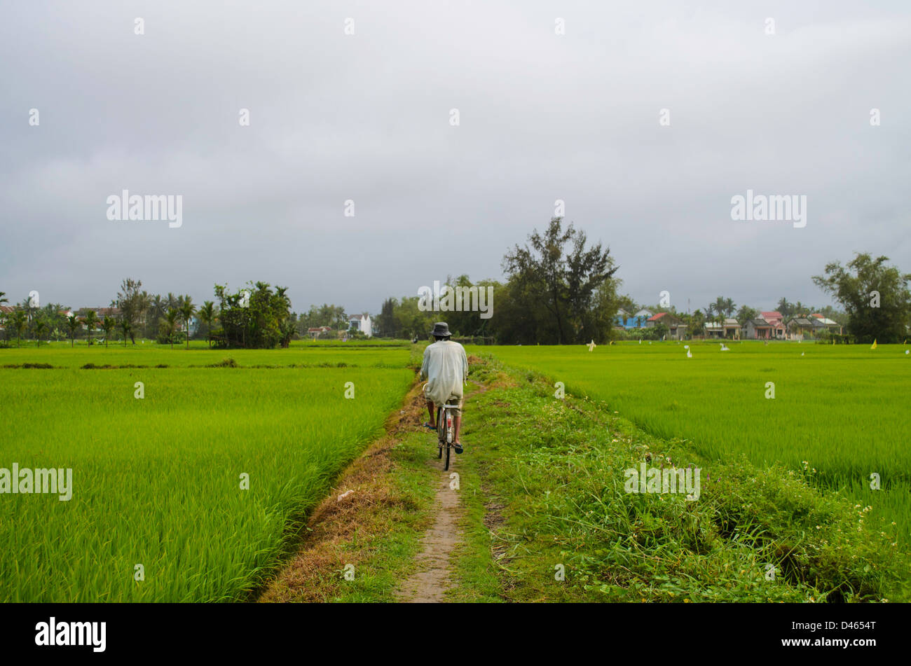 Paddy field worker vietnam hi-res stock photography and images - Alamy