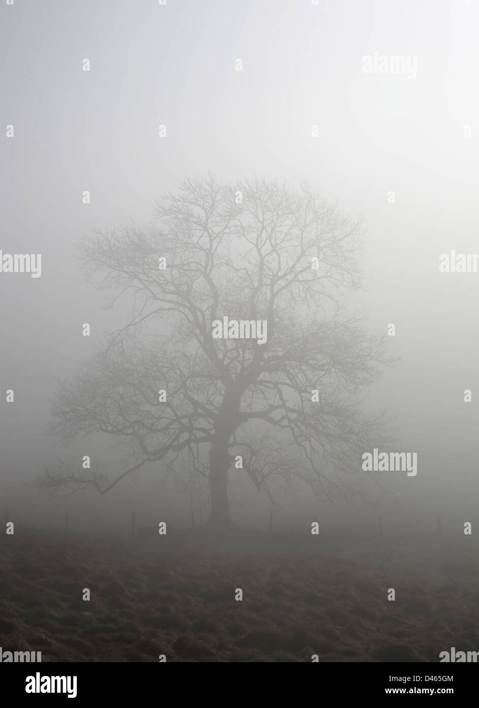 Mist on the south downs hi-res stock photography and images - Alamy