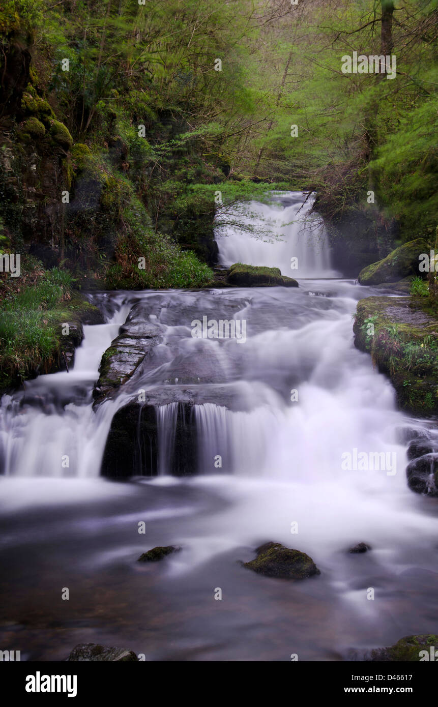 Waterfall flowing peacefully downhill trees bordering the river Stock ...