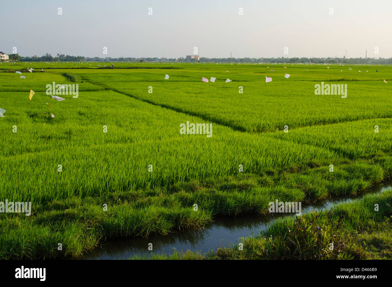 Vietnam cambodia flag hi-res stock photography and images - Alamy