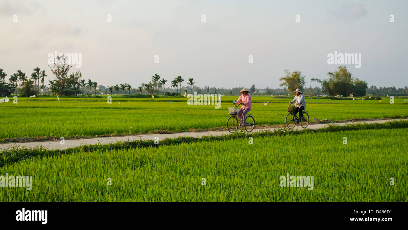 Vietnam field bicycle hi-res stock photography and images - Alamy