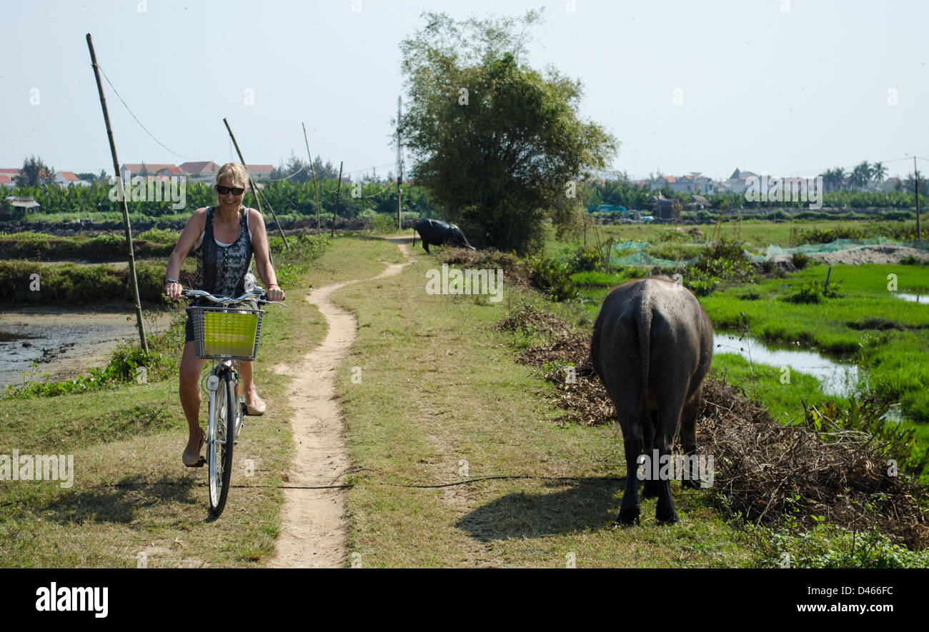 Canadian woman riding bicycle through rice paddy near Hoi An Vietnam ...