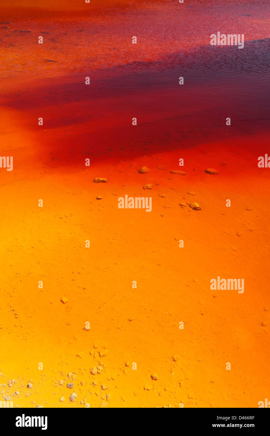 Detail acid water pond in hi-res stock photography and images - Alamy