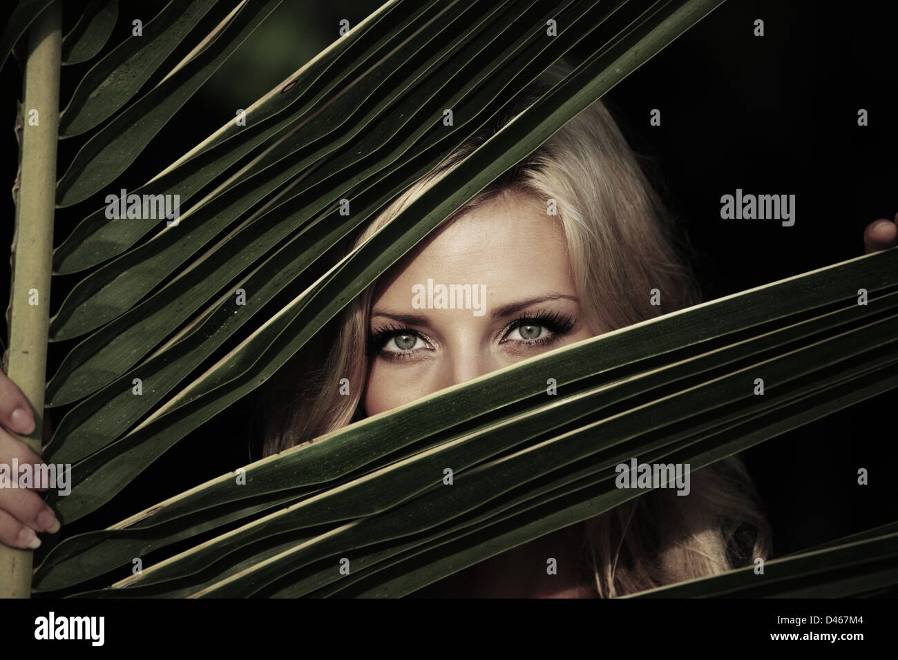 Hiding Behind Palm Tree High Resolution Stock Photography and Images ...