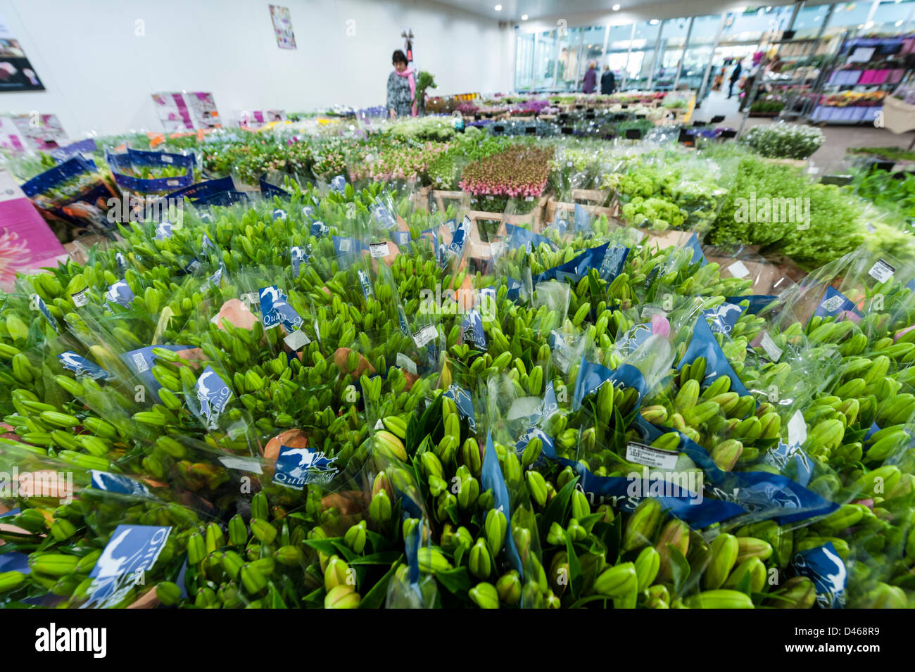 An array of lilies hi-res stock photography and images - Alamy
