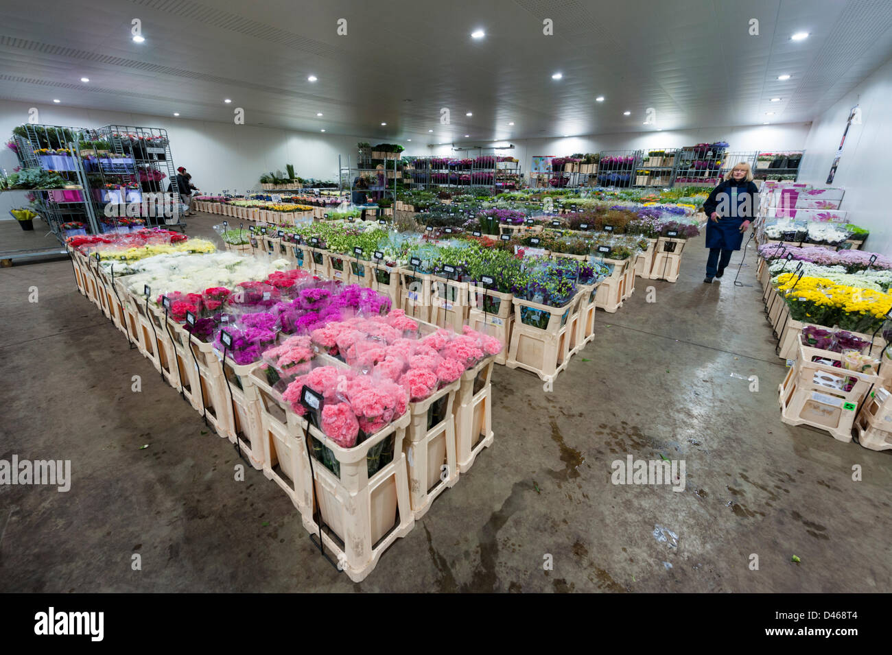 Alamy flower stock hi-res stock photography and images - Alamy