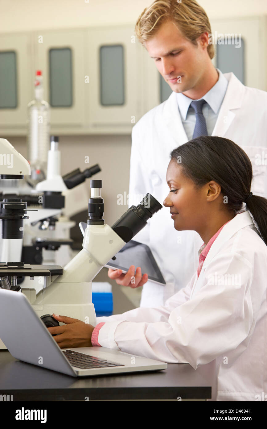 Male And Female Scientists Using Microscopes In Laboratory Stock Photo - Alamy