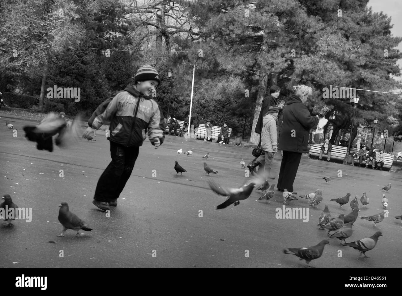 Child chasing pigeons, panfilov park, Almaty, Kazakhstan Stock Photo ...