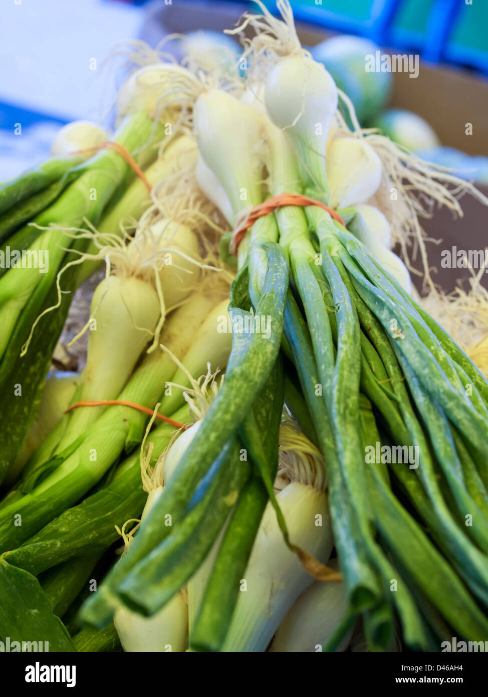 Fresh organic food at the local farmers market. Farmers markets are a ...
