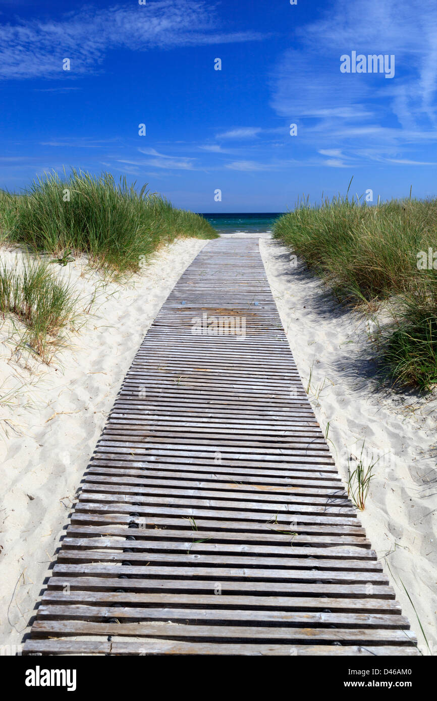 Boardwalk through sand dunes hi-res stock photography and images - Alamy